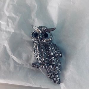 Accessories | New Owl Pin | Poshmark